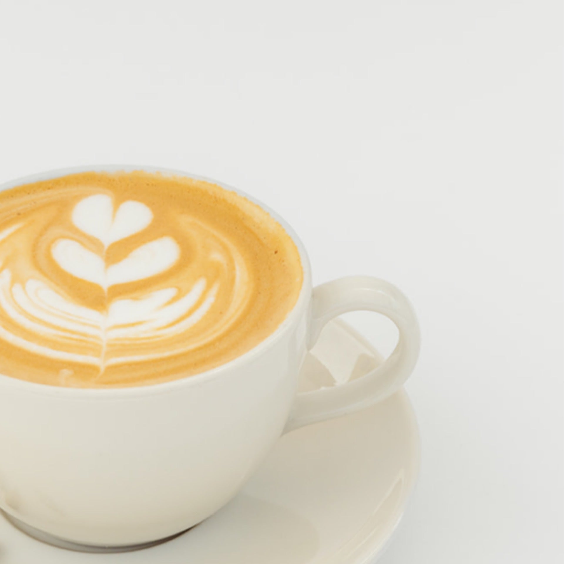 Traditional Latte | Wide Eyes Open Palms